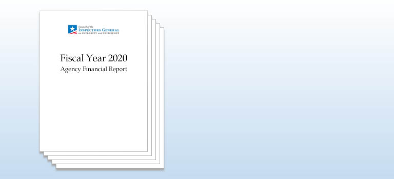 2020 CIGIE Agency Financial Report | Council of the Inspectors General ...
